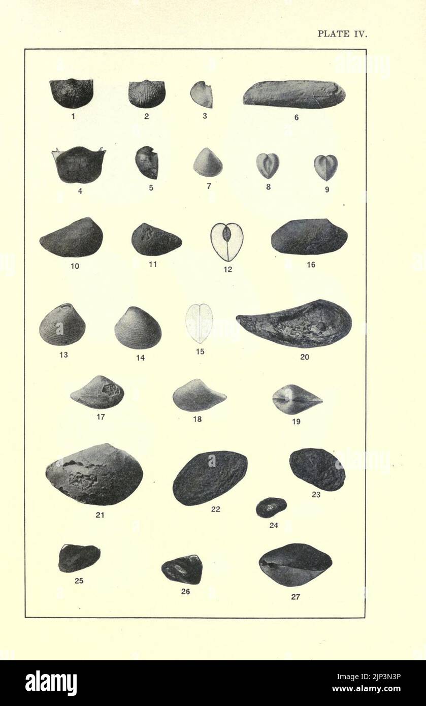 The fauna of the Pottsville formation of Ohio below the Lower Mercer ...