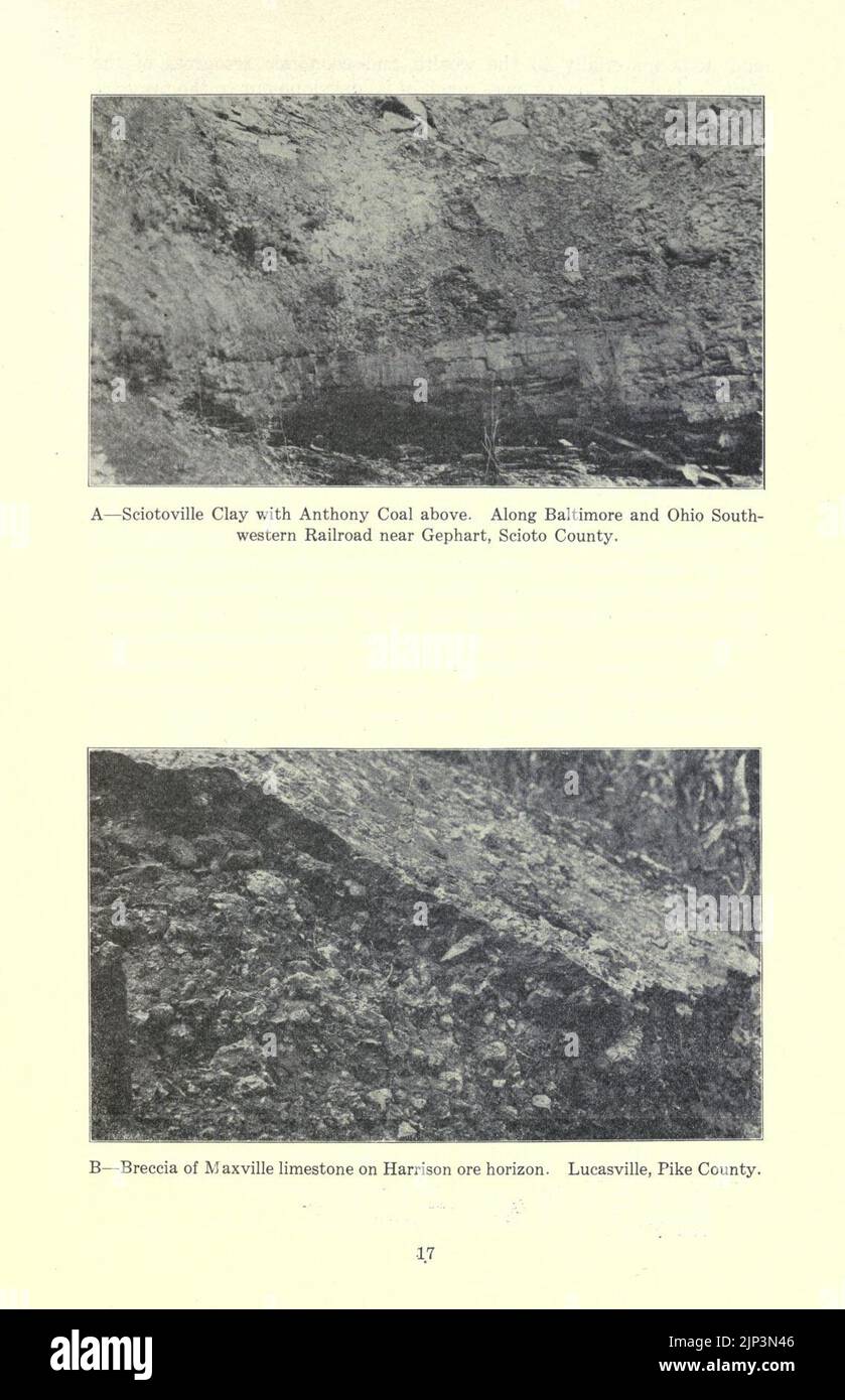 The fauna of the Pottsville formation of Ohio below the Lower Mercer ...