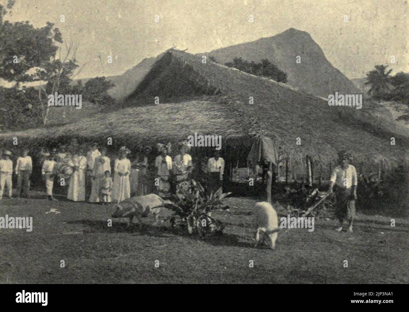 The Feasting Shed, Papara, by Clement Lindley Wragge Stock Photo - Alamy