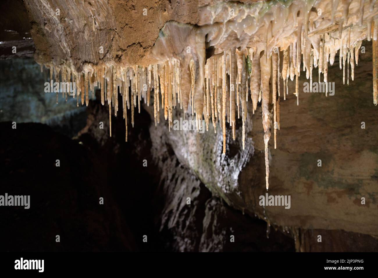 A soda straw cave formations with drops of water hanging from them ...