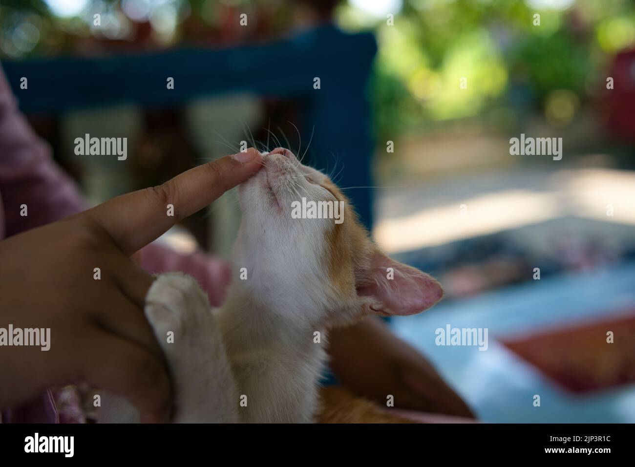 Finger licking funny hi-res stock photography and images - Alamy