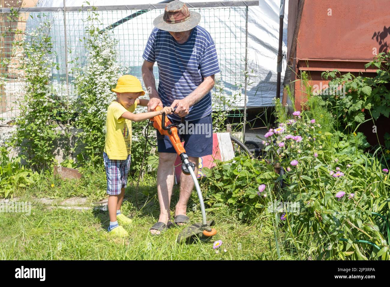 A man in a hat and a child with an electric lawn mower mowing the lawn ...