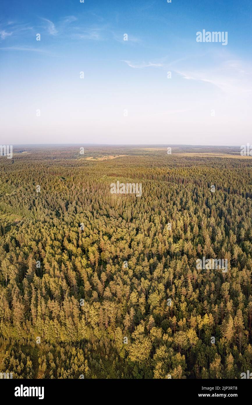 Aerial view endless forest hi-res stock photography and images - Alamy