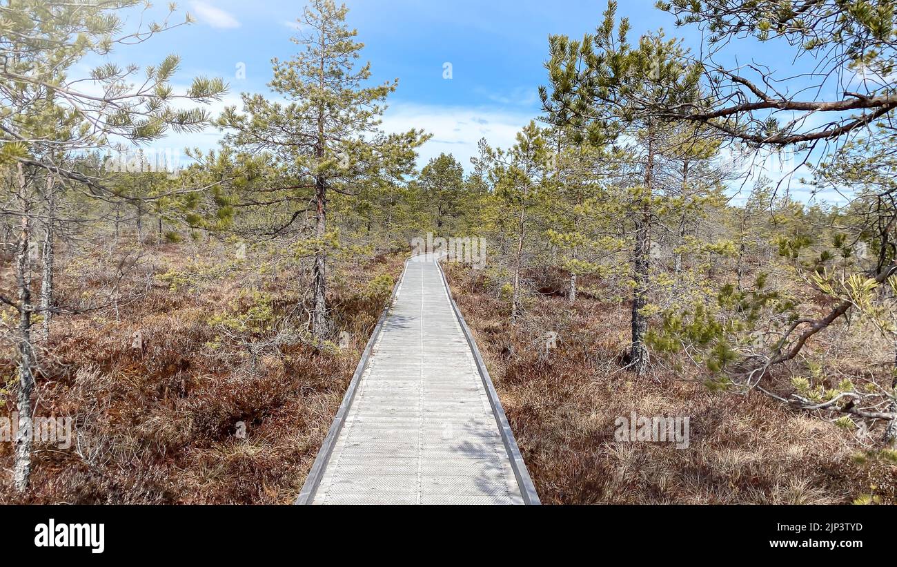 A wooden pole with an indicator of the direction and distance of a ...