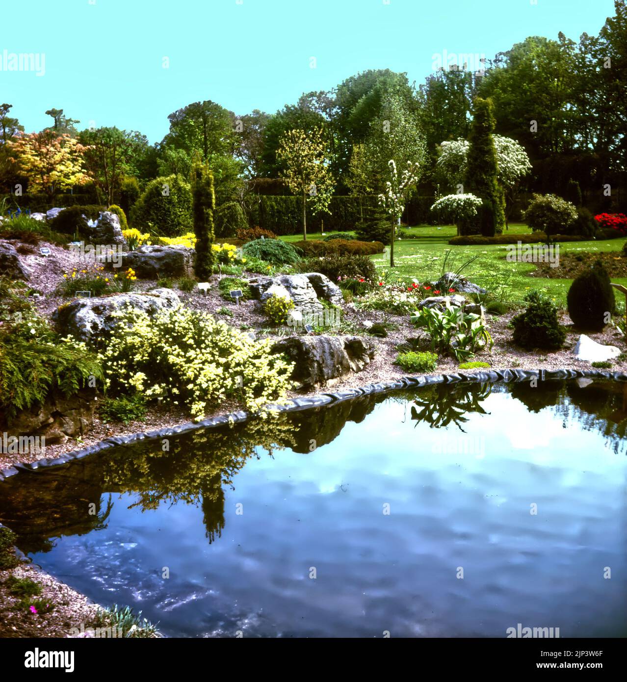 Evergreen shrubs with pond hi-res stock photography and images - Alamy