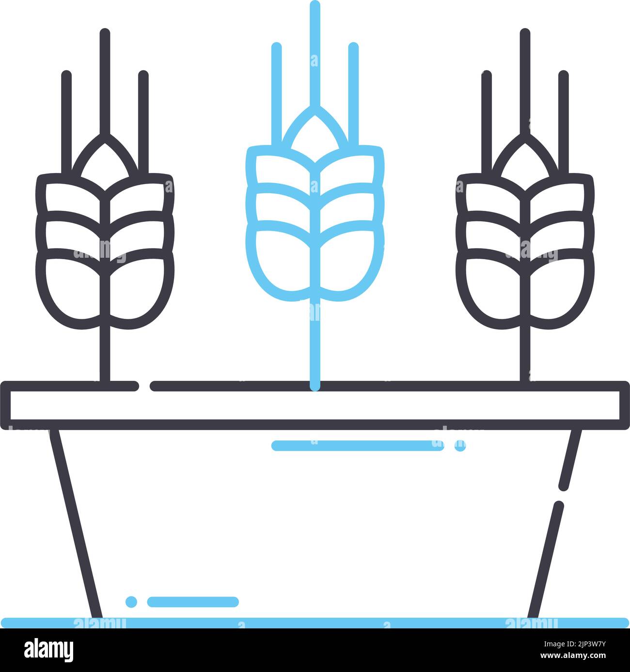 Ear barley cereal line icon Stock Vector Images - Alamy