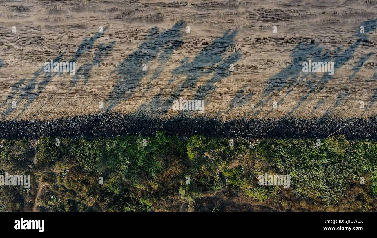An aerial view of green trees and sandy field Stock Photo - Alamy