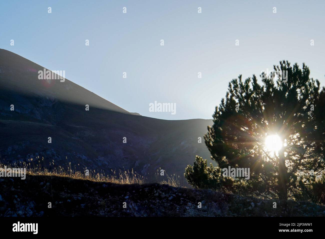 Sun behind the tree hi-res stock photography and images - Alamy