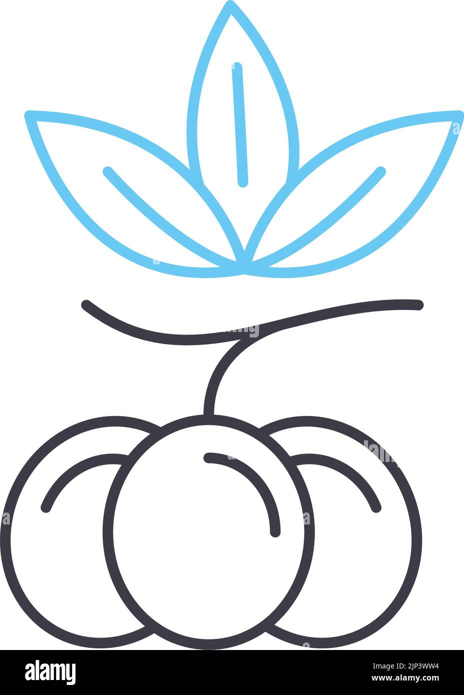 blueberry line icon, outline symbol, vector illustration, concept sign ...