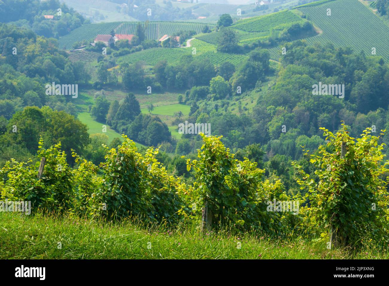 An aerial view of rural green hills with trees in Austria Stock Photo ...