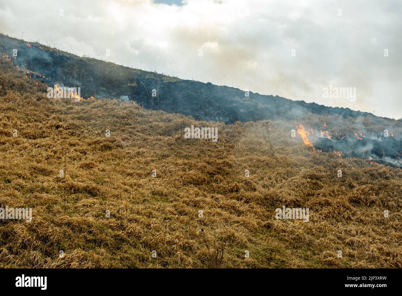 A huge flame of fire burns the nature around. Dry steppe grass burns ...