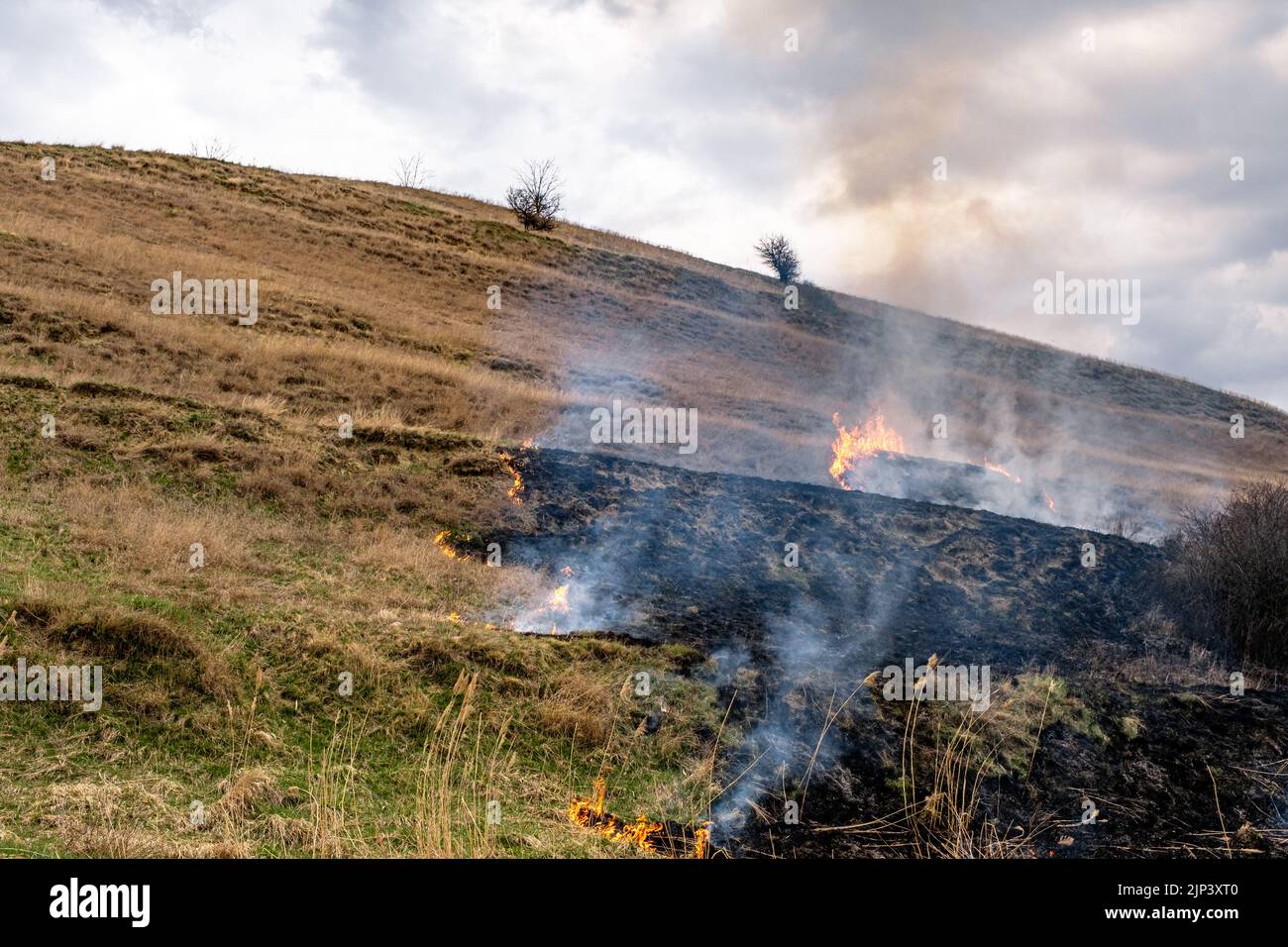 A huge flame of fire burns the nature around. Dry steppe grass burns ...