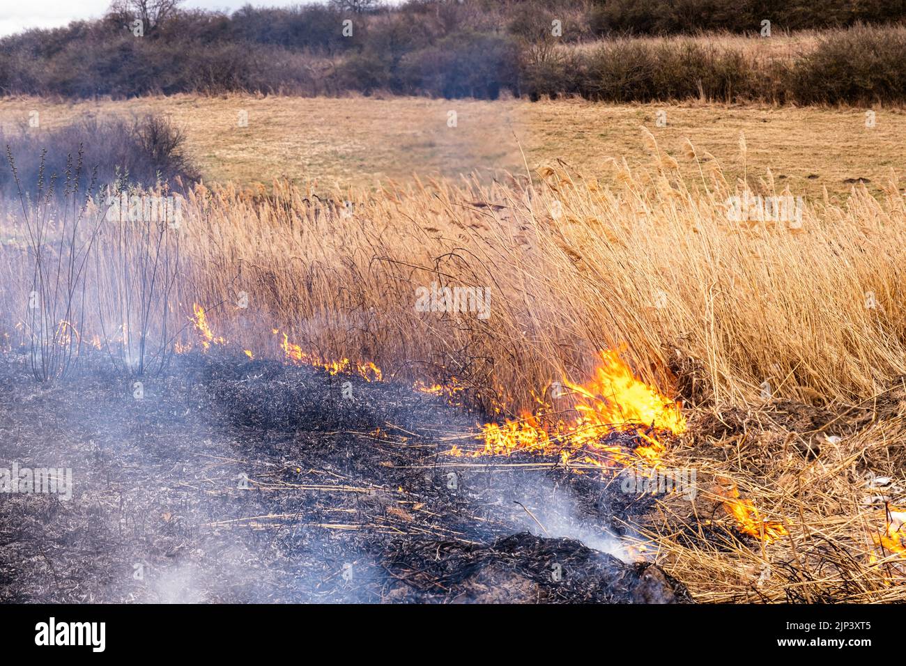 A huge flame of fire burns the nature around. Dry steppe grass burns ...
