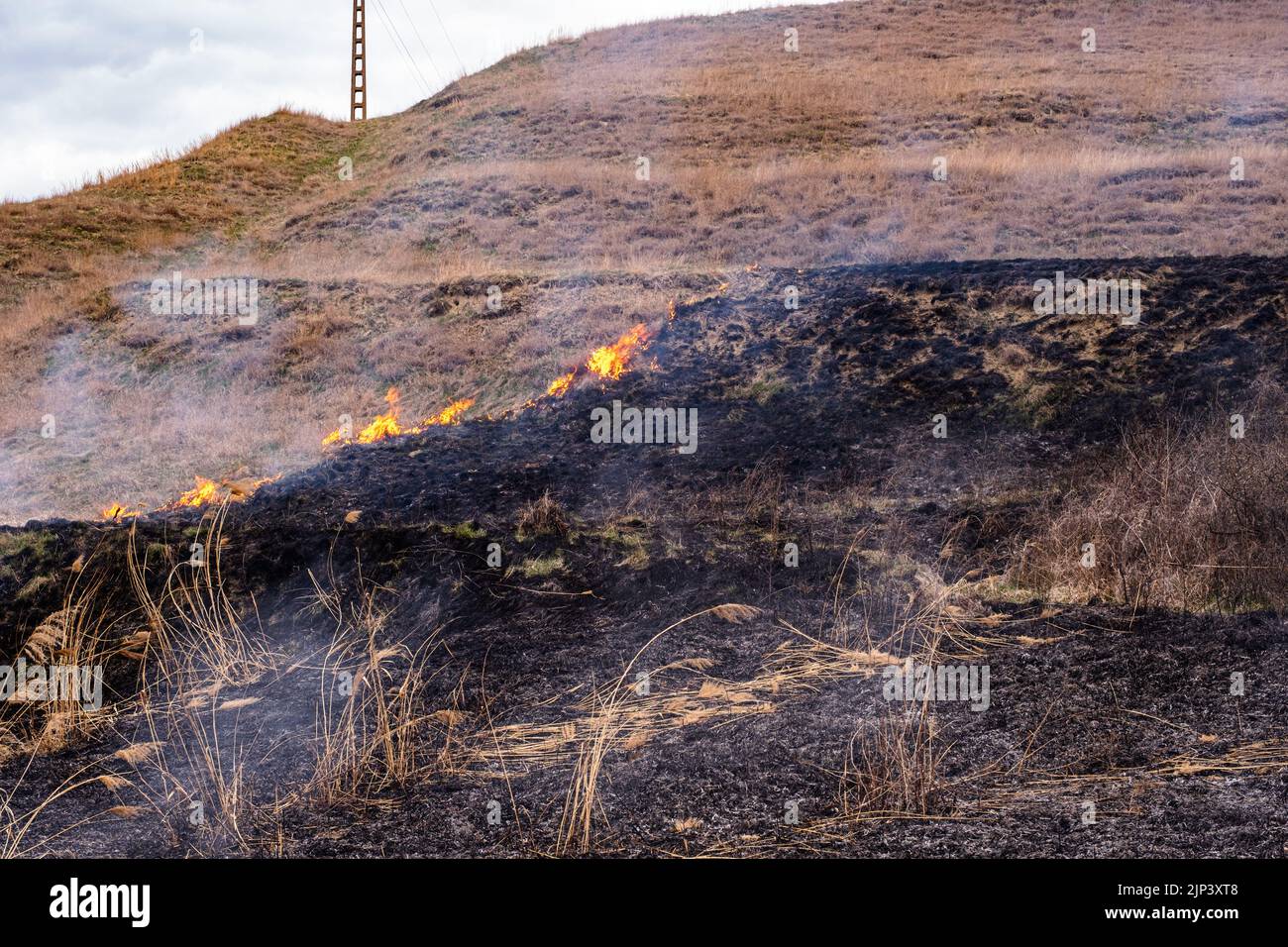A huge flame of fire burns the nature around. Dry steppe grass burns ...
