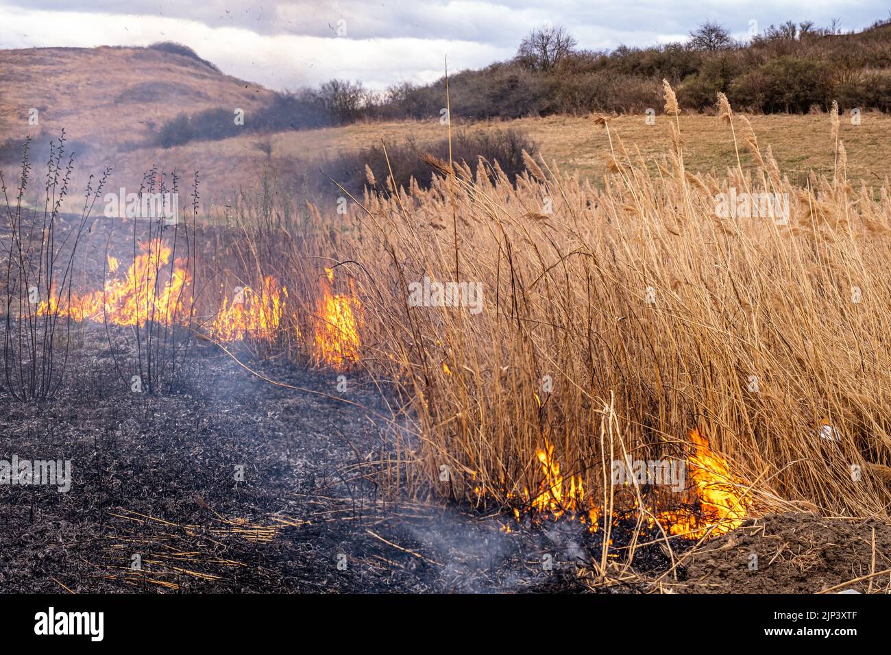 A huge flame of fire burns the nature around. Dry steppe grass burns ...