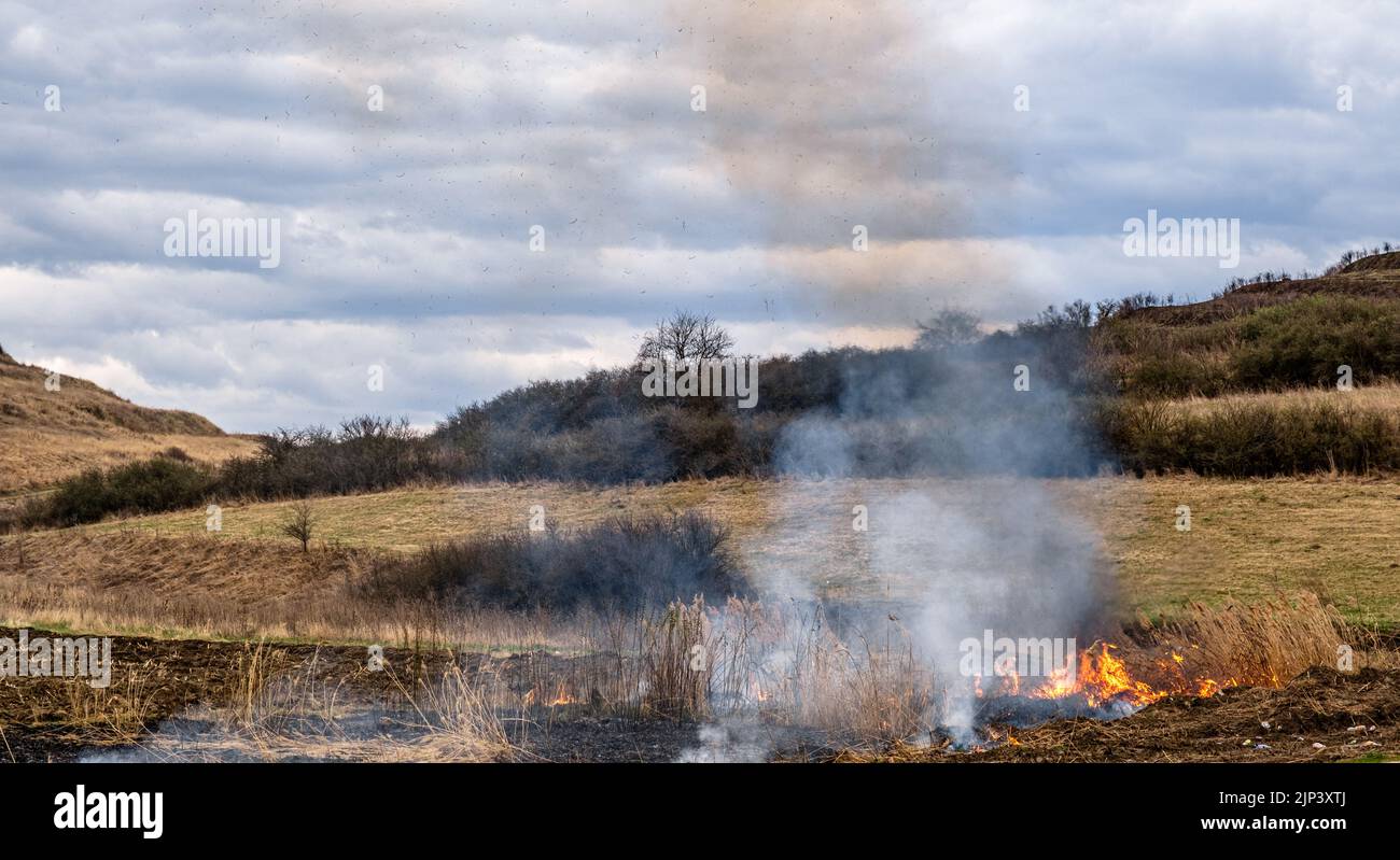 A huge flame of fire burns the nature around. Dry steppe grass burns ...