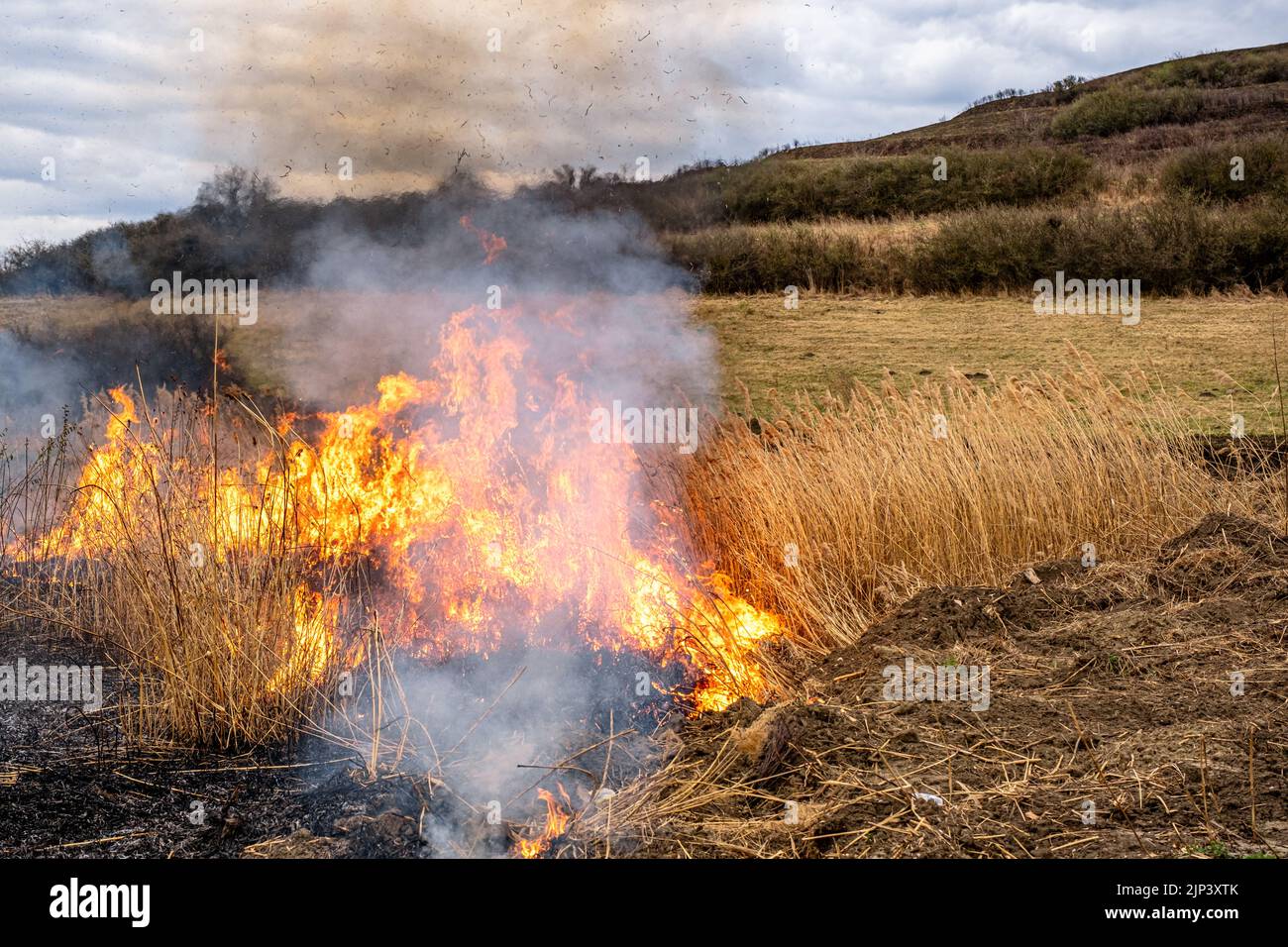 A huge flame of fire burns the nature around. Dry steppe grass burns ...