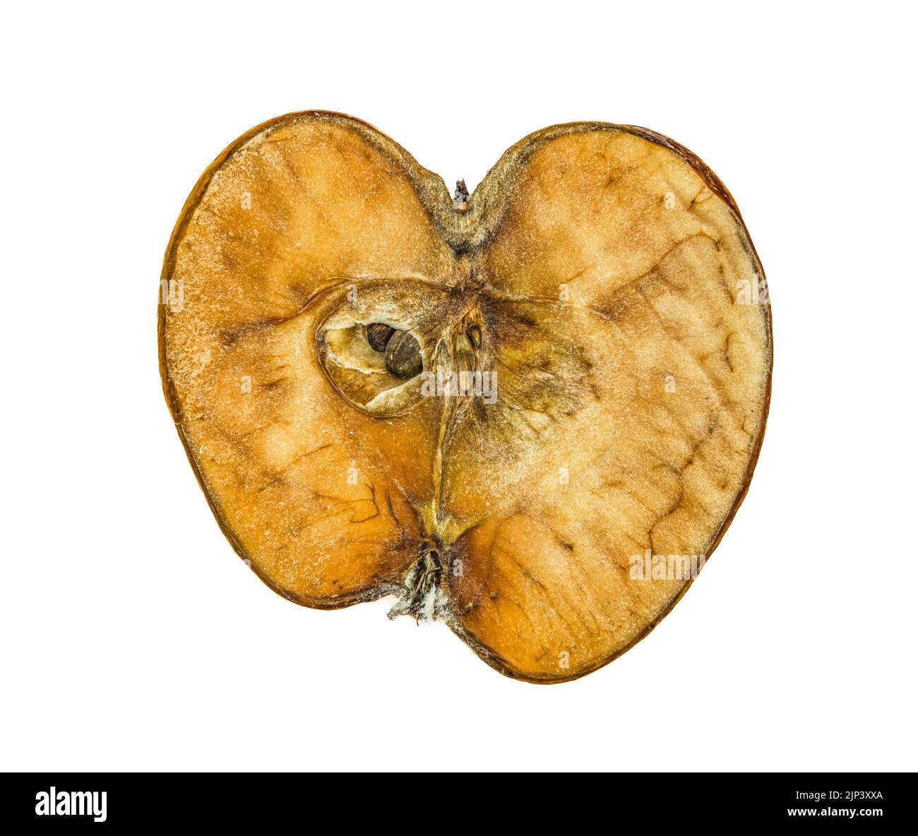 a very thin dried apple slices with mold isolated on white background ...