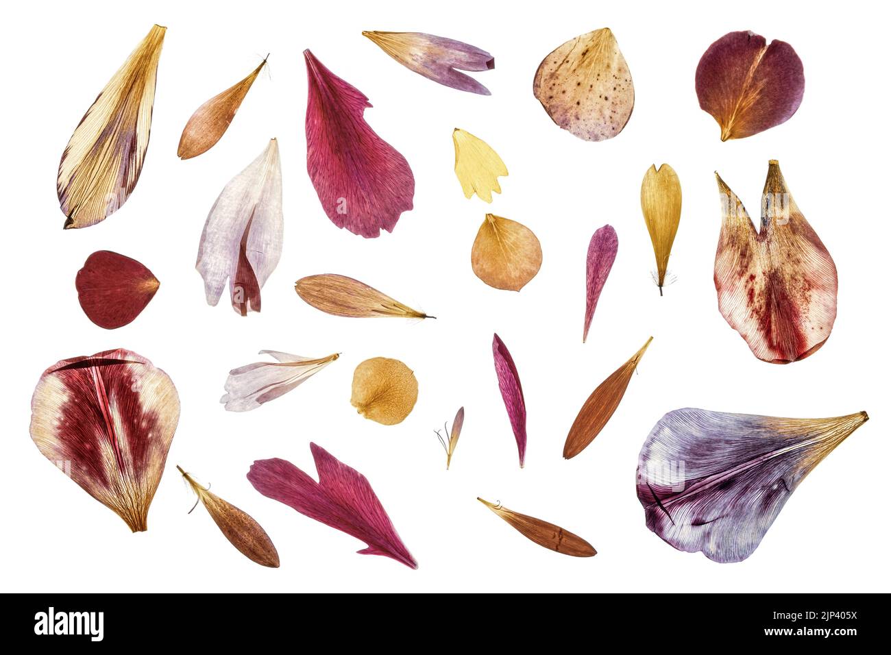 dried and pressed flower petals Stock Photo - Alamy