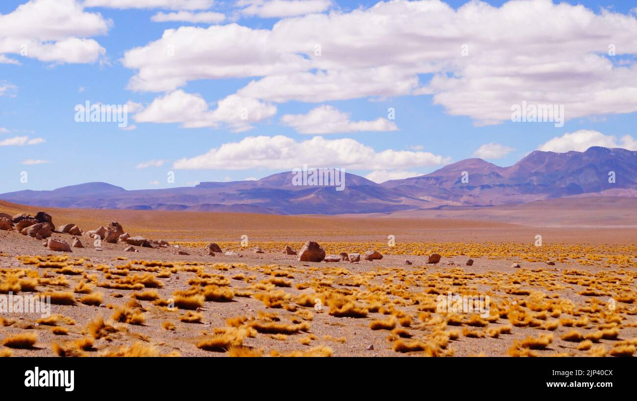 A scenery from the Atacama Desert and the mountains near San Pedro de ...