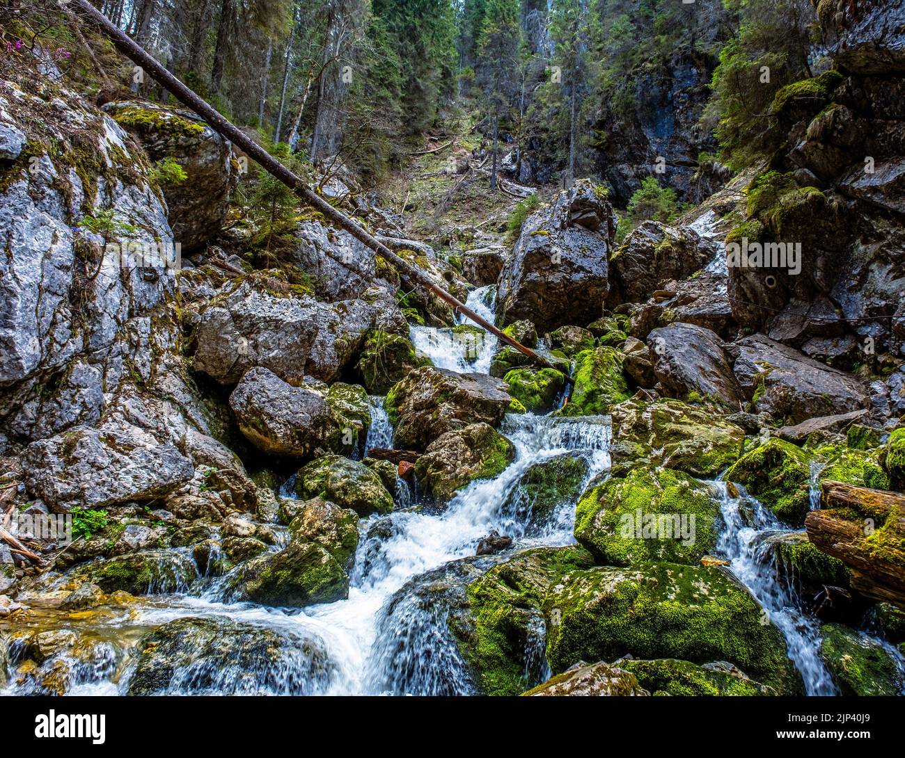 Fresh water flows over rocks & stones down a river bed, in a beautiful ...