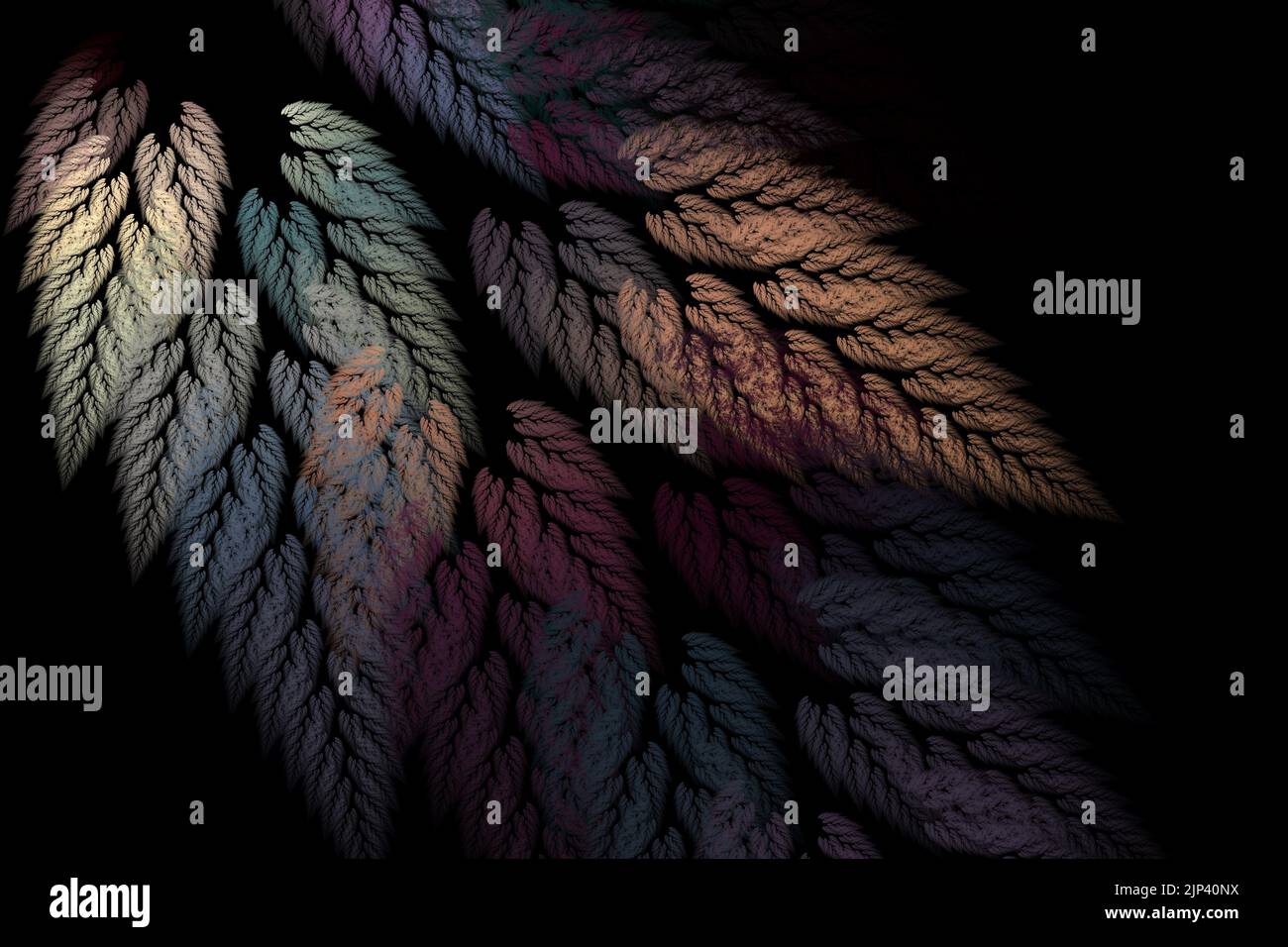 A 3d render of colorful fractal wings pattern isolated on a black ...