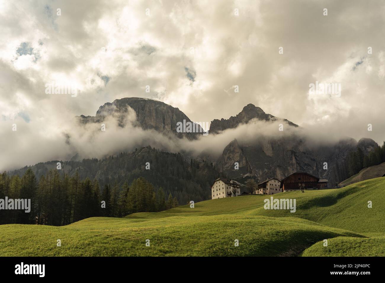 View to wonderful Alpine landscape and meadows at Pass Gardens with ...