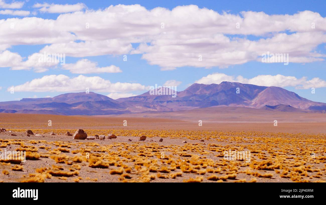 A scenery from the Atacama Desert and the mountains near San Pedro de ...