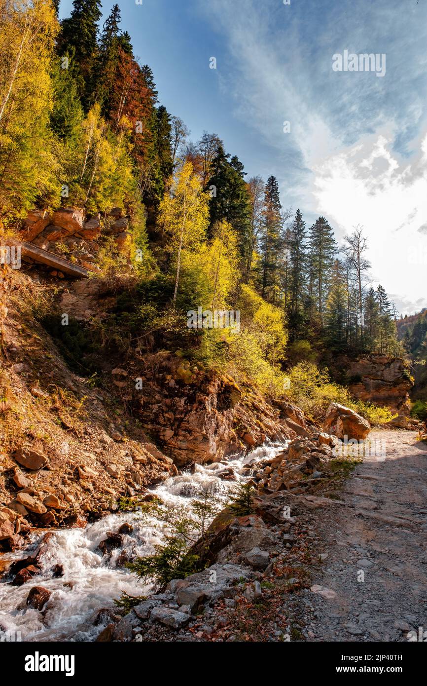 Fresh water flows over rocks & stones down a river bed, in a beautiful ...