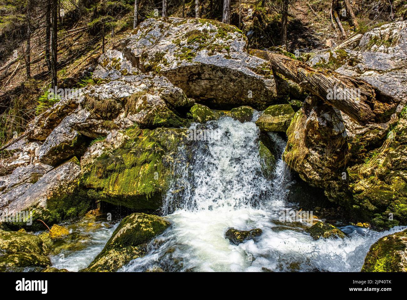 Fresh water flows over rocks & stones down a river bed, in a beautiful ...
