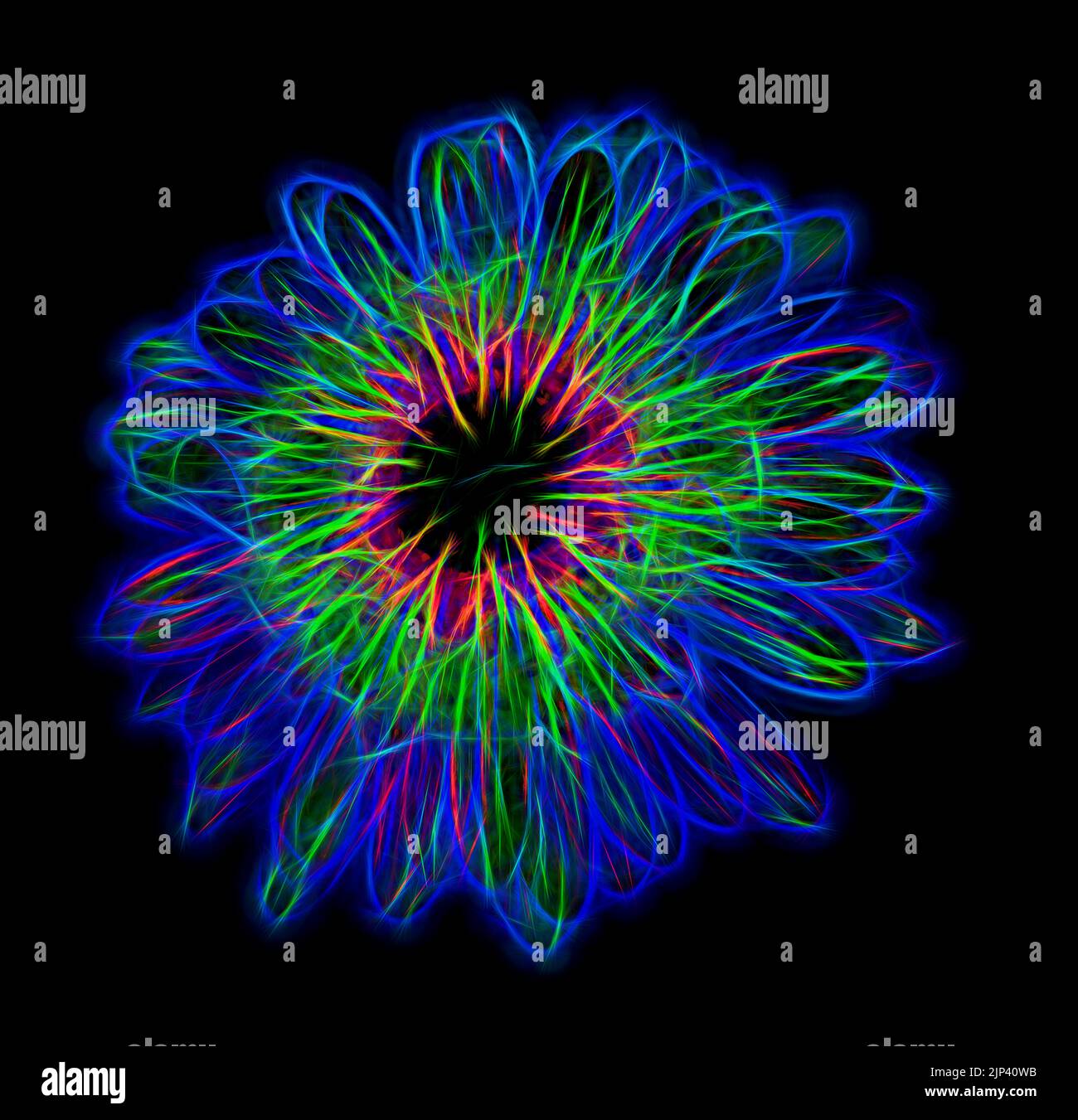 Illustration of a electrify flower on black background Stock Photo - Alamy