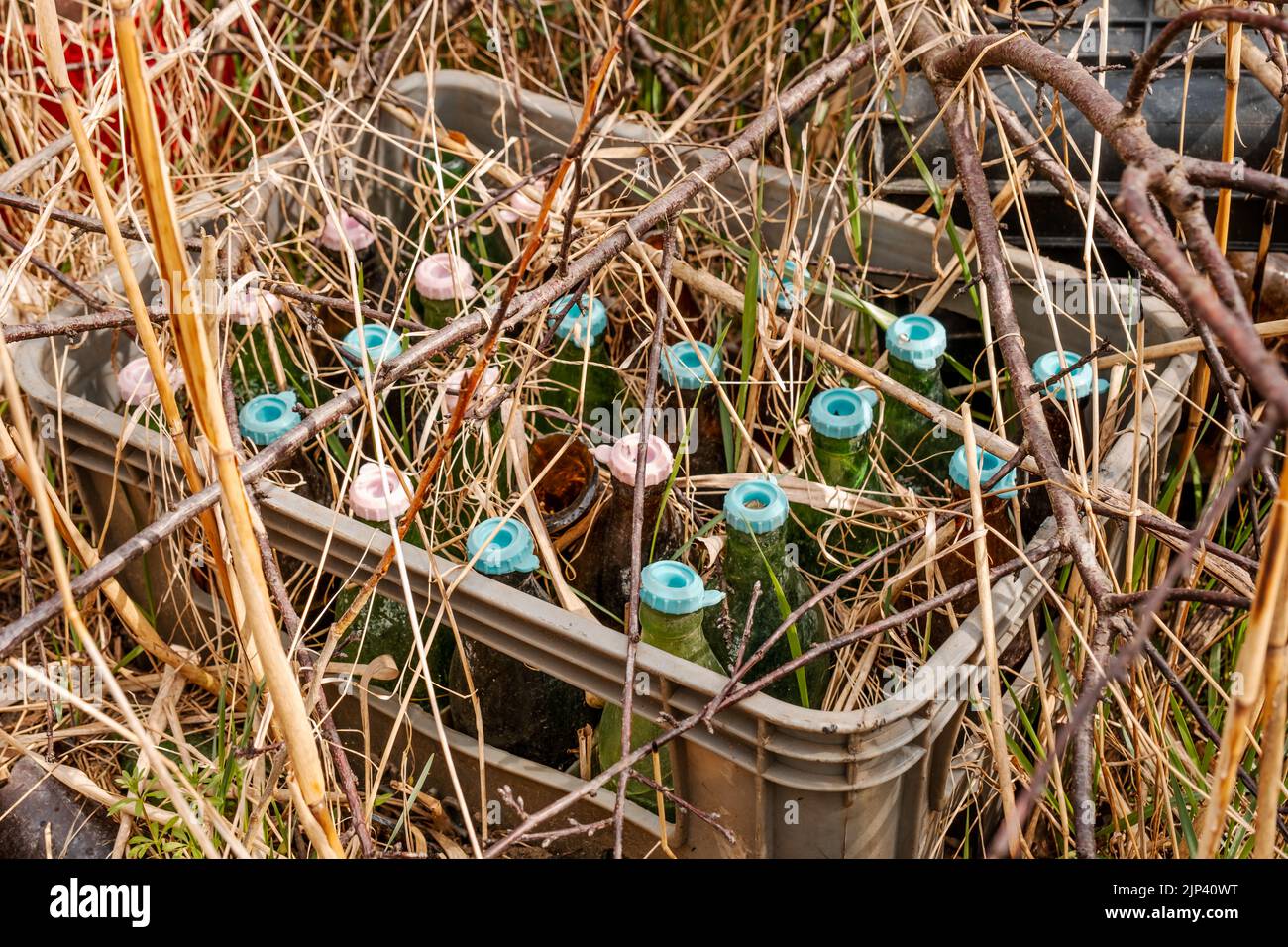 glass bottles in container with plastic caps thrown in nature Stock ...