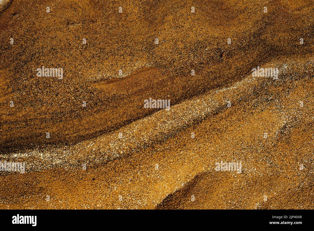 golden sand dunes on the beach Stock Photo - Alamy