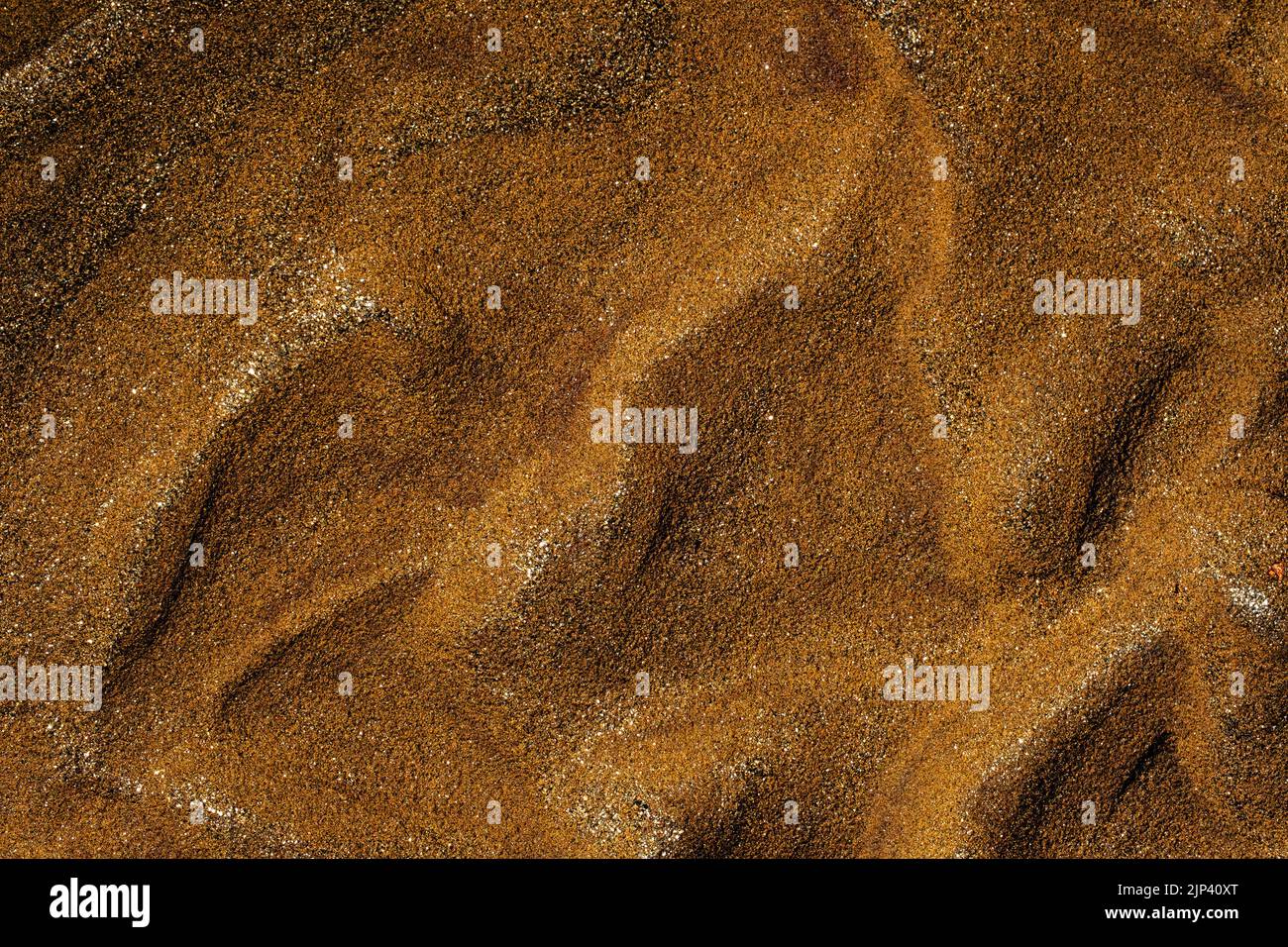 golden sand dunes on the beach Stock Photo - Alamy