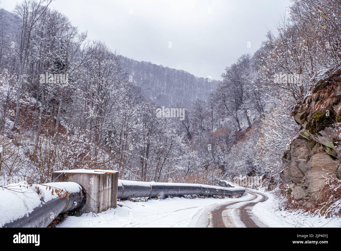 winter scene, cindrel mountains, romania Stock Photo - Alamy