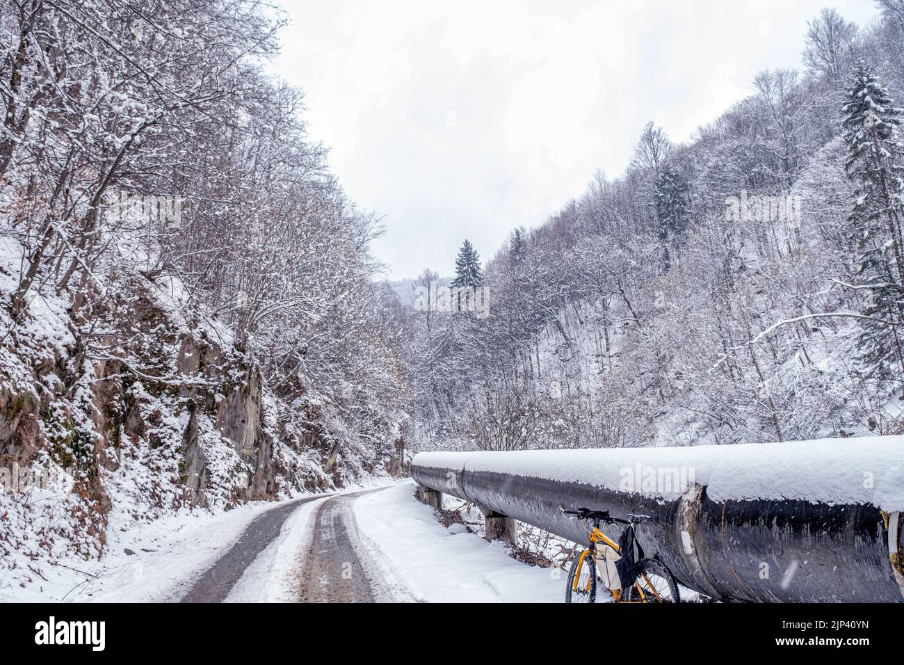 Valari hi-res stock photography and images - Alamy