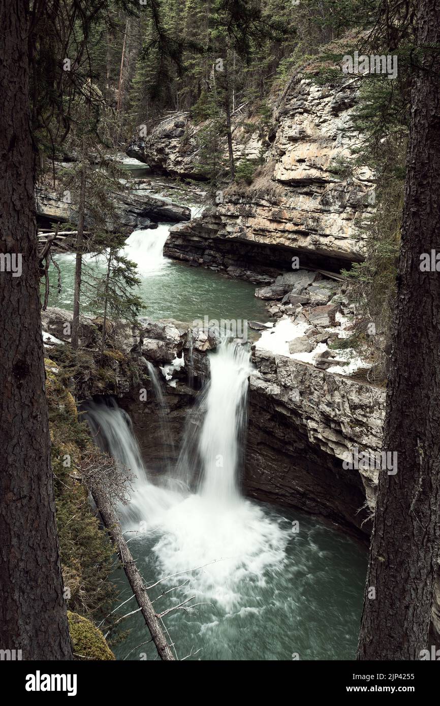 Beautiful vertical shot of a waterfall streaming from the depth of ...