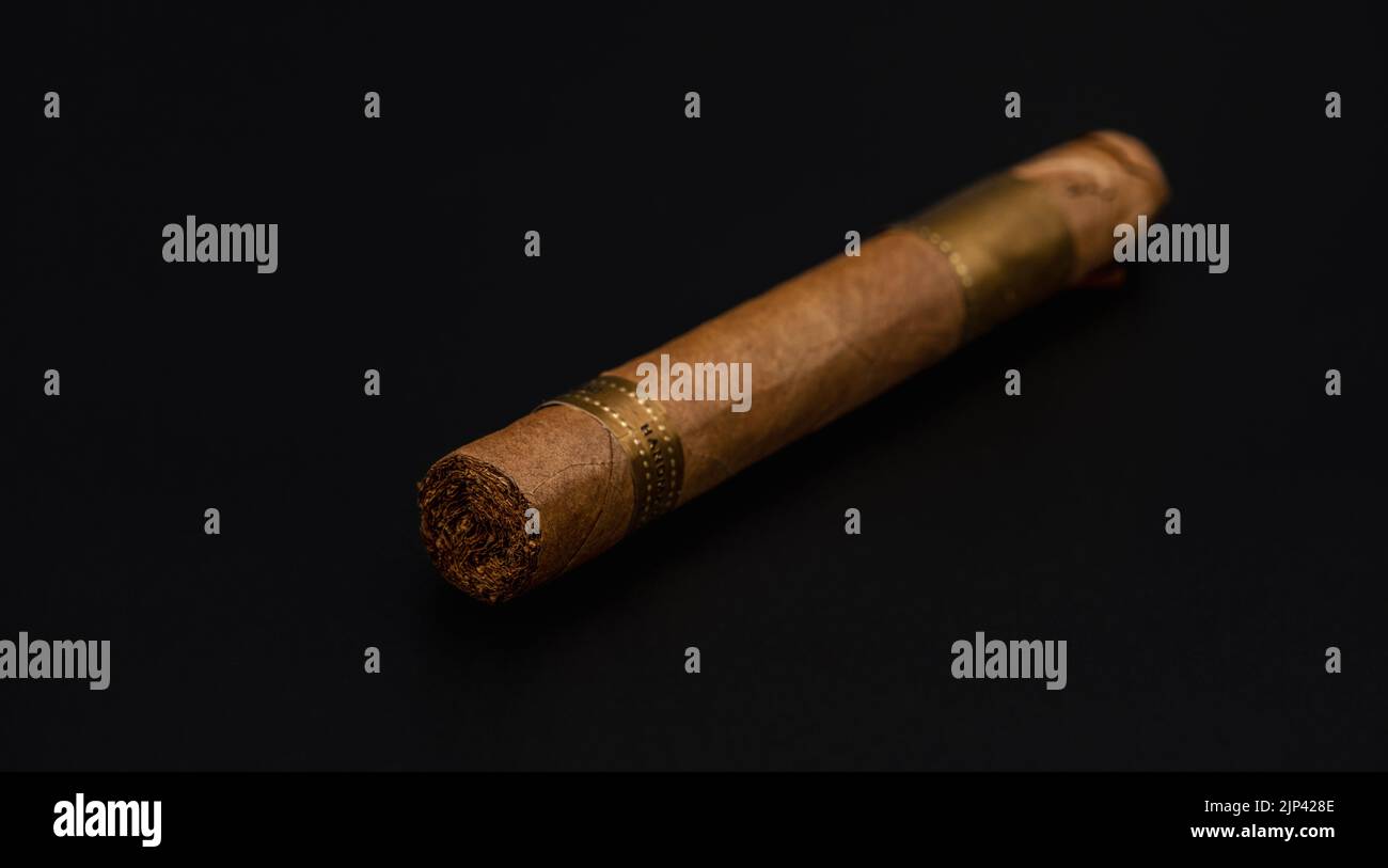 Single cigar. Handcrafted Brown cigar made with real tobacco leaves on ...