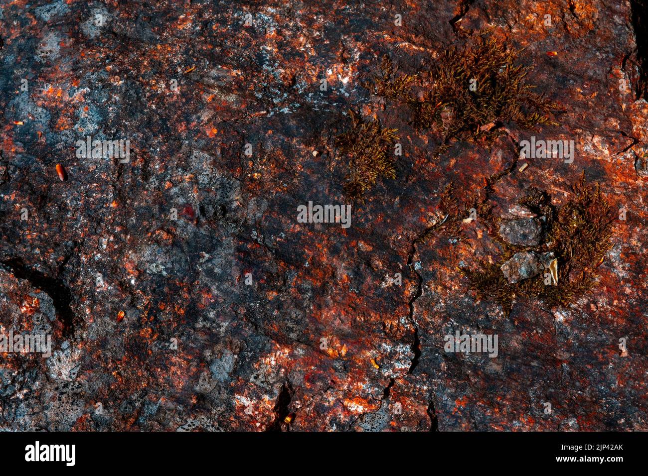 stone with iron ore and quartz Stock Photo - Alamy