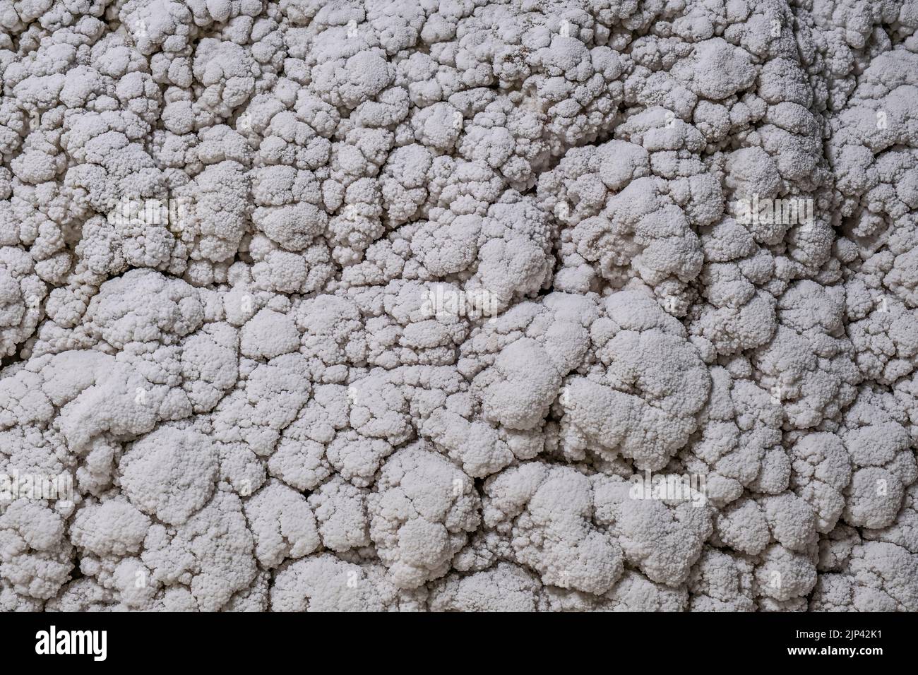 The texture of the salt. Salt wall Stock Photo - Alamy