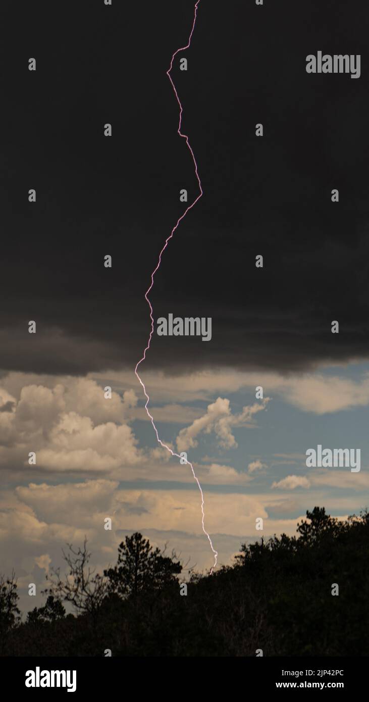 A vertical shot of lightning in a forest with dark clouds above the ...