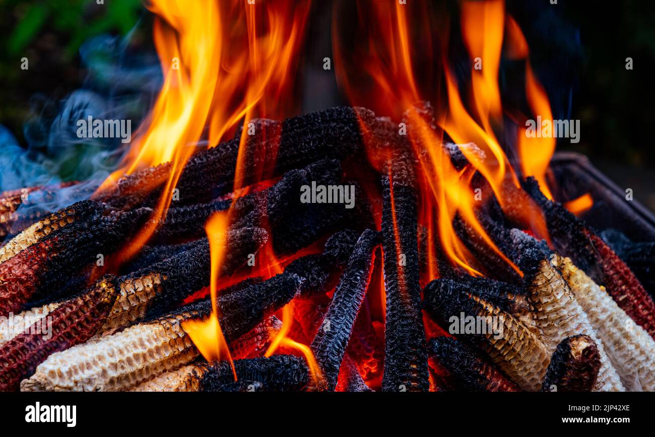 Waste corn cobs burning, close view Stock Photo - Alamy
