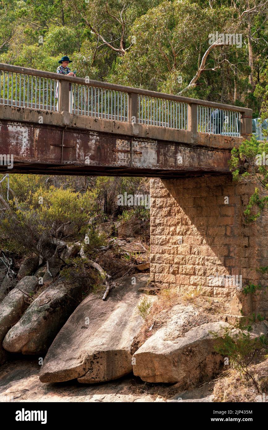 A vertical shot of a bridge surrounded by big stones and vegetation ...
