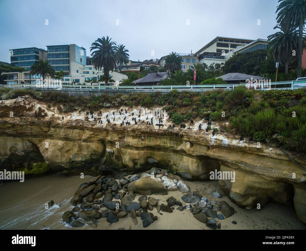 A sandstone cliff on the La Jolla Cove beach in San Diego, California ...