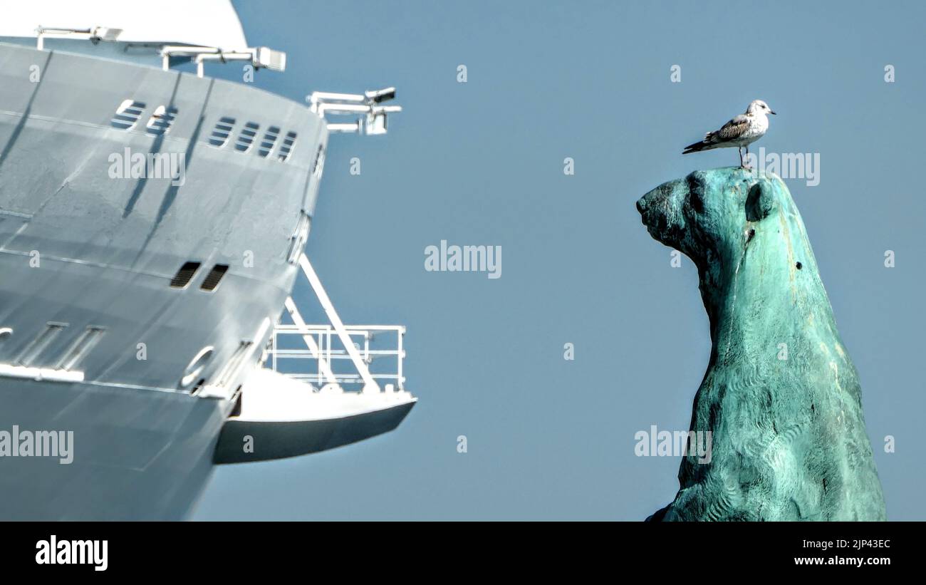 A Seagull on the head of a polar bear bronze statue in front of a ship ...