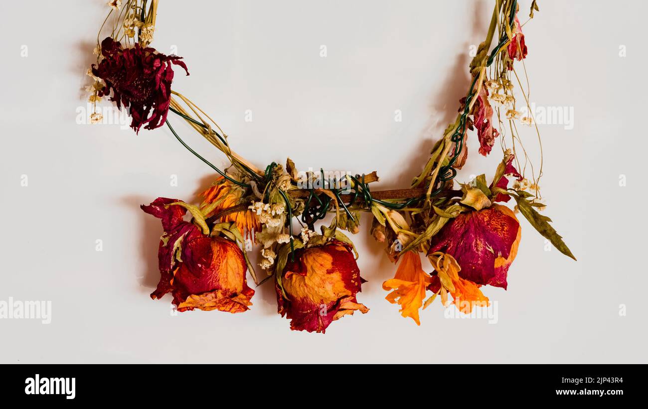 Hanging dried roses hi-res stock photography and images - Alamy