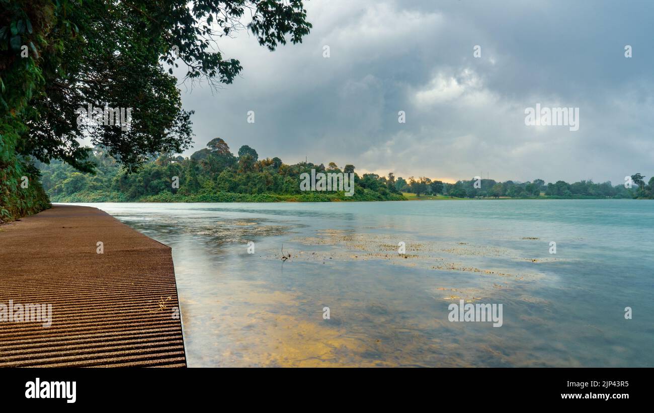 MacRitchie Reservoir on tropical stormy day Stock Photo - Alamy