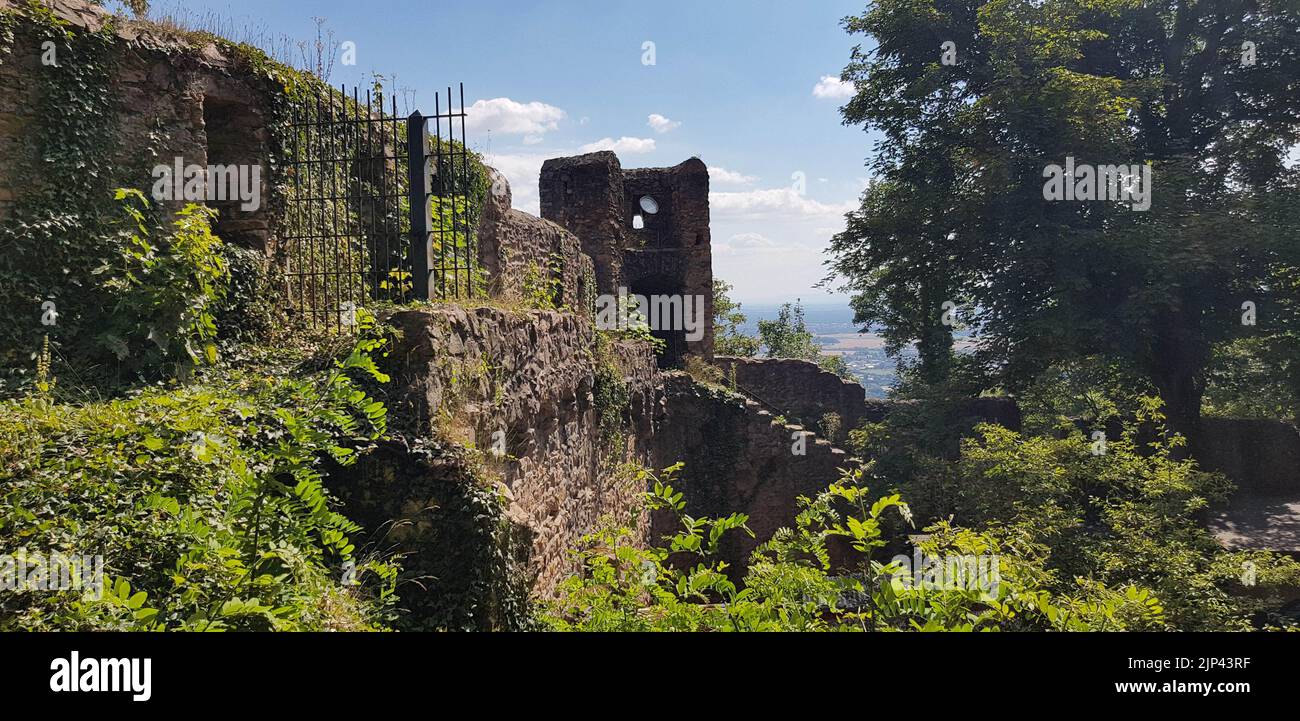 A beautiful view of the Auerbach Castle in Germany during daylight with ...