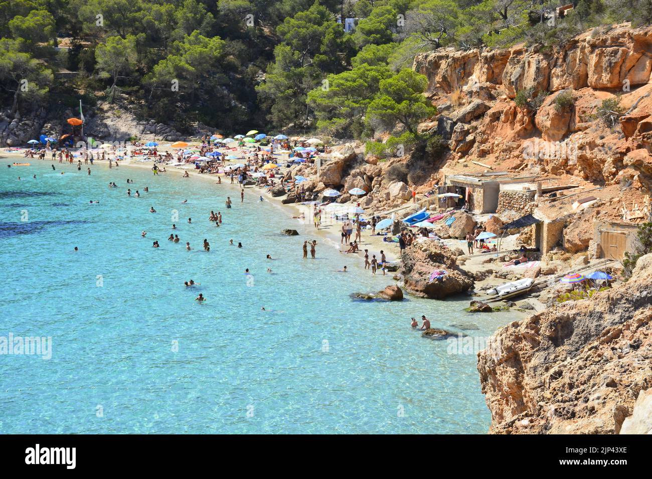 A beautiful clear water beach in Ibiza with green trees in the ...