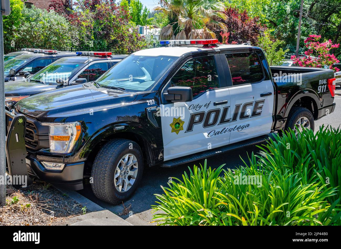 Police vehicles parked in the car park behind the police station in ...